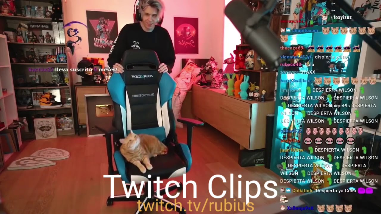 Wilson, El Gato De Rubius ¡Se queda dormido en directo! - YouTube