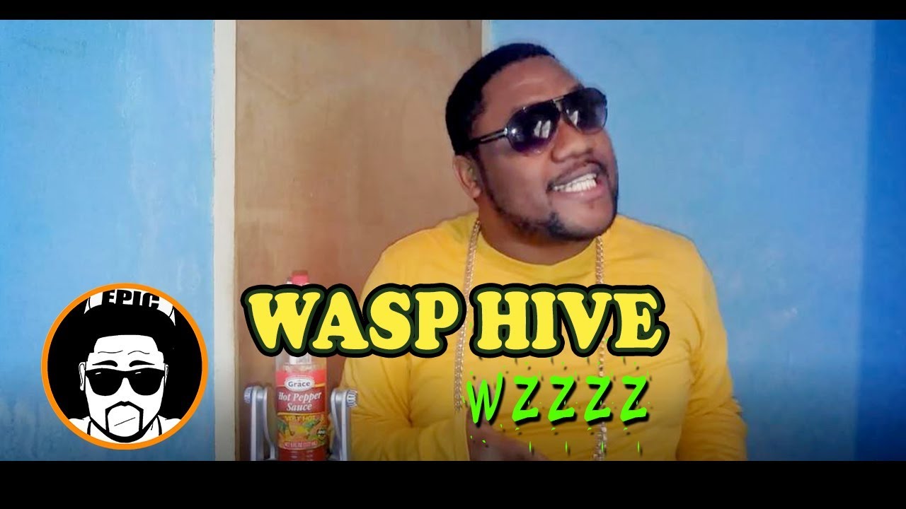 WASP HIVE - Beez Hive Remix Wzzz - YouTube