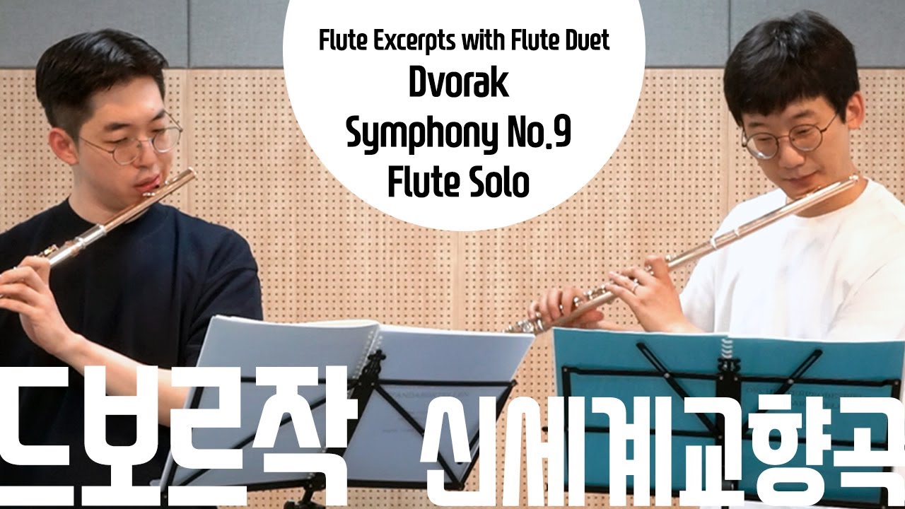 Dvořák - Symphony No.9 | Flute Excerpts Cycle | 오케액섭 정주행 16 - YouTube