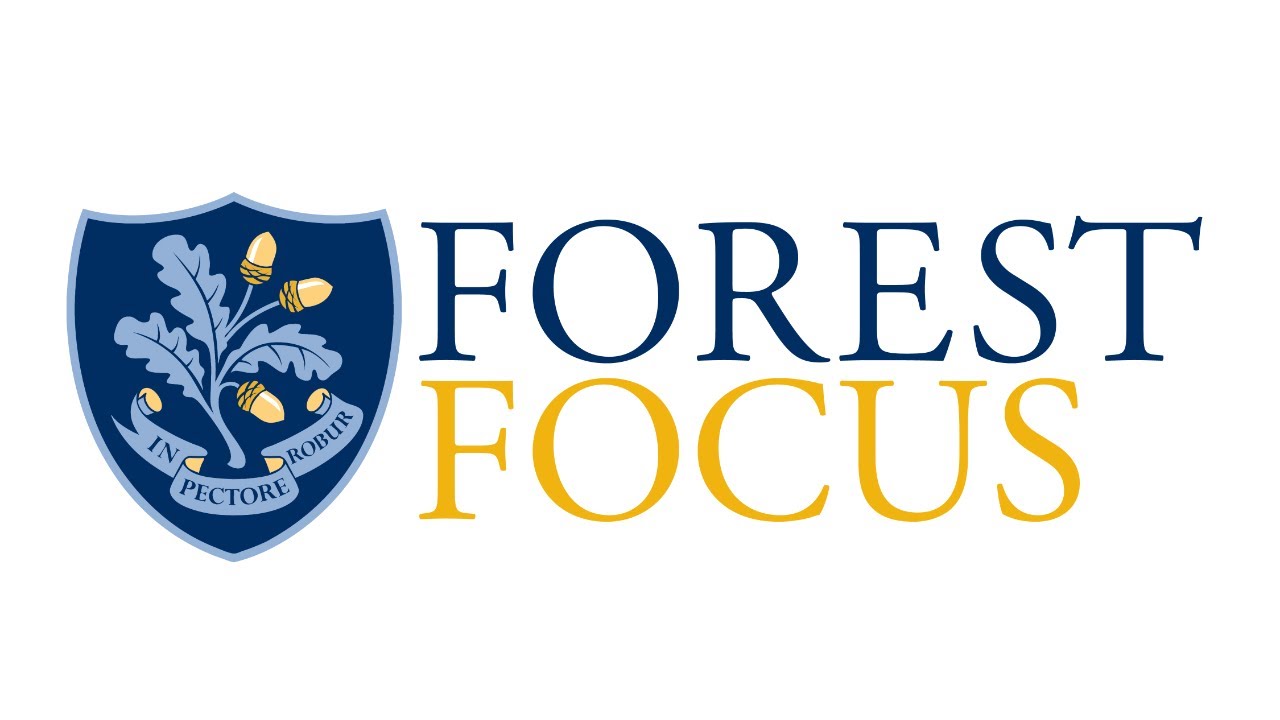 Forest Focus: Assessment and Reporting at Forest School - YouTube