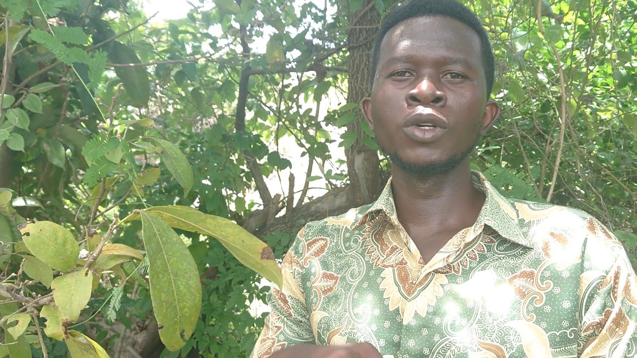 Maajabu ya mti wa lufyambo sehemu ya tatu - YouTube