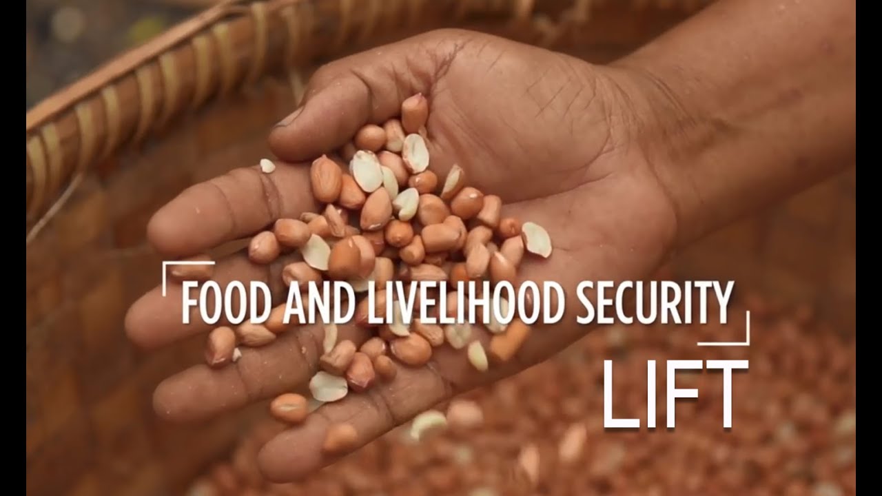 LIFT: Ensuring food and livelihood security in Myanmar - YouTube