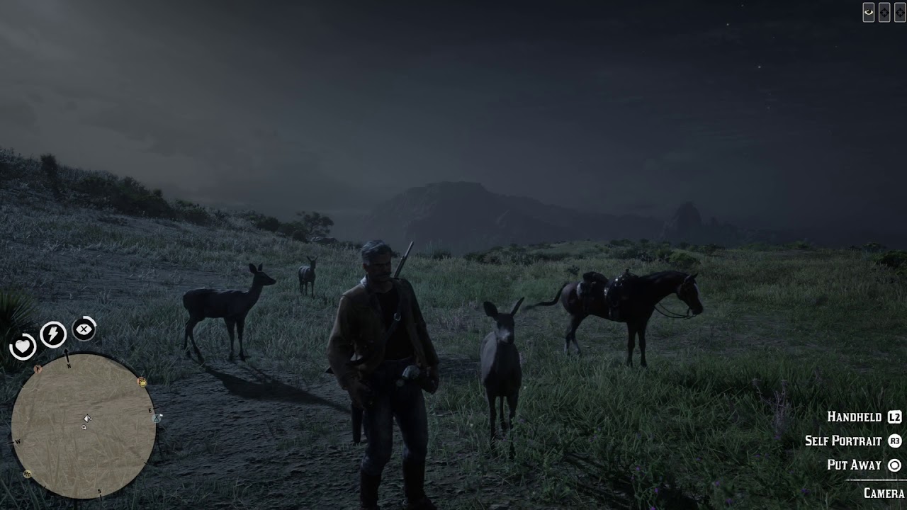 How close can you get to a deer? RDRO Red Dead Redemption 2 - YouTube