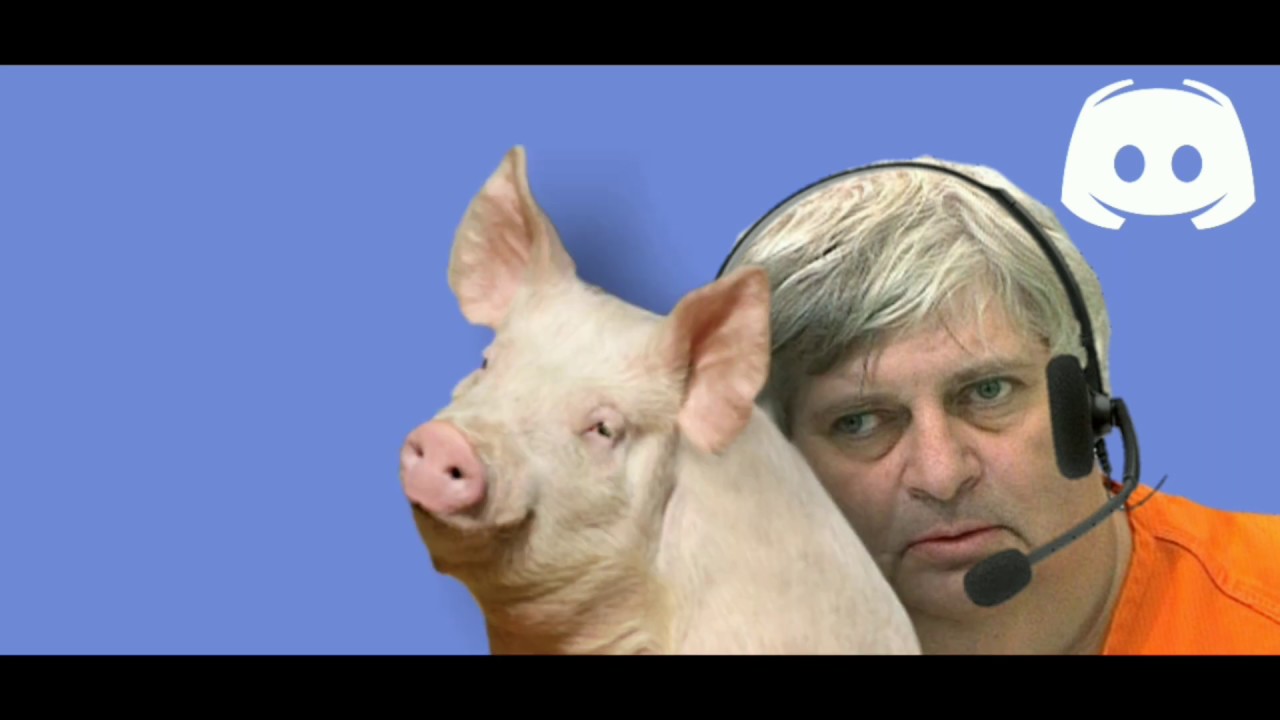 Springfeel gets banned from a Discord Server - YouTube