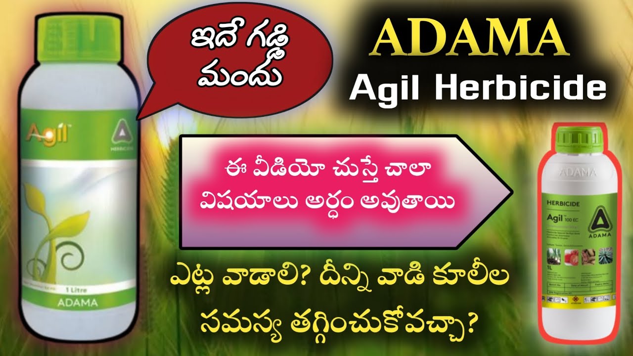 Adama Agil Herbicide Telugu || Adama Agil Herbicide Uses Telugu ...