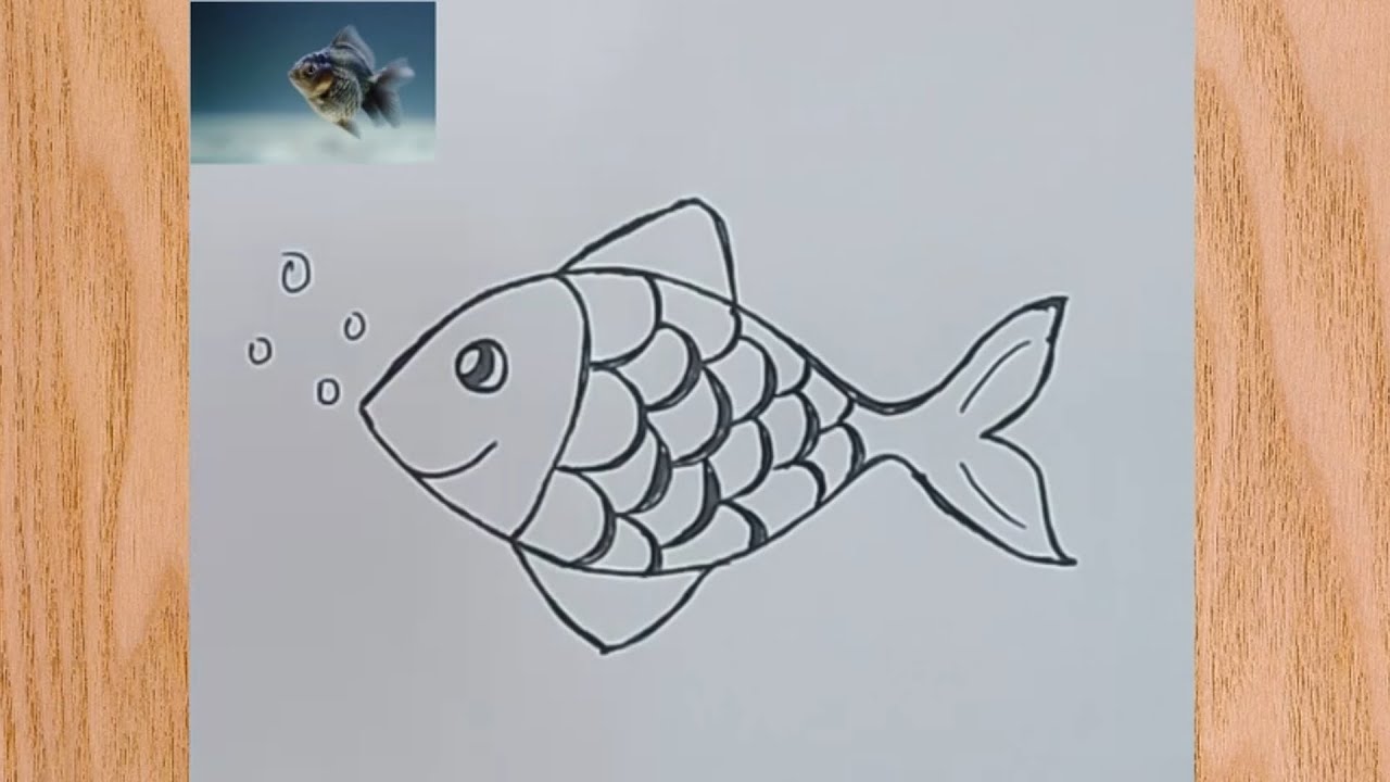 How to Draw Fish 🐟 | Tutorial - YouTube