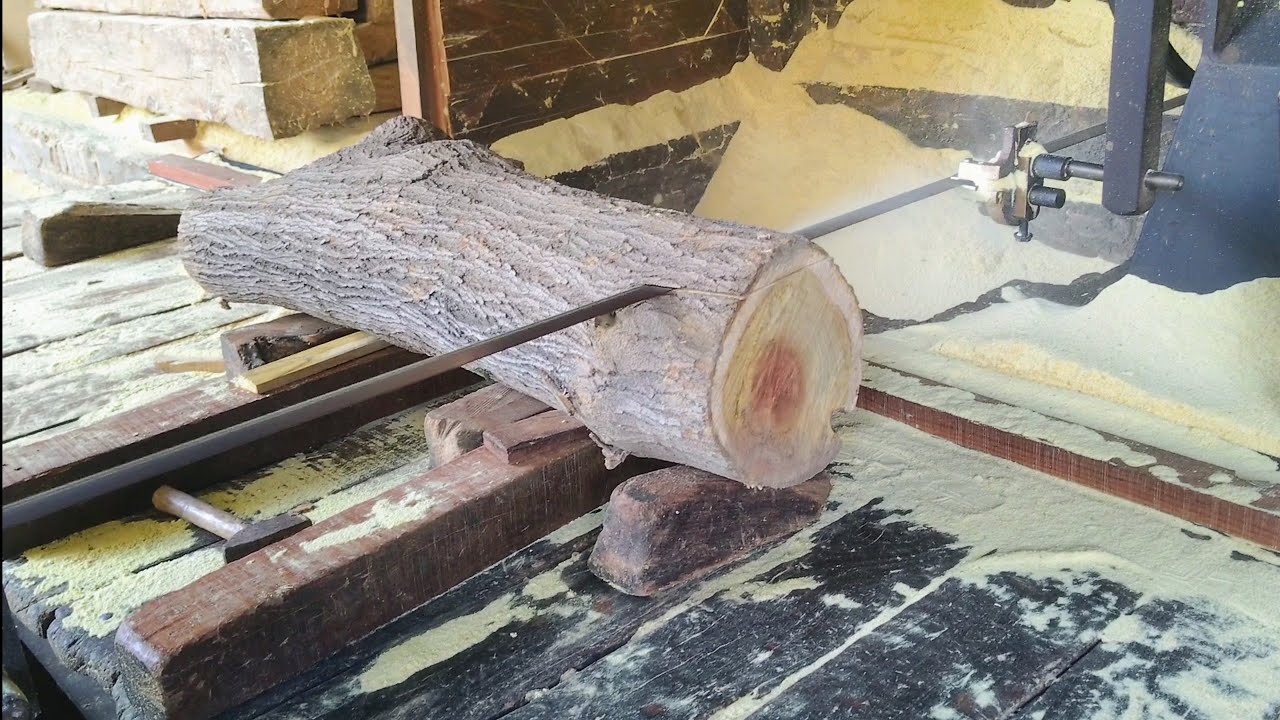 Big Timber Mill Log Cutting | Timber Mill | Wood Cutting | Sawmill ...