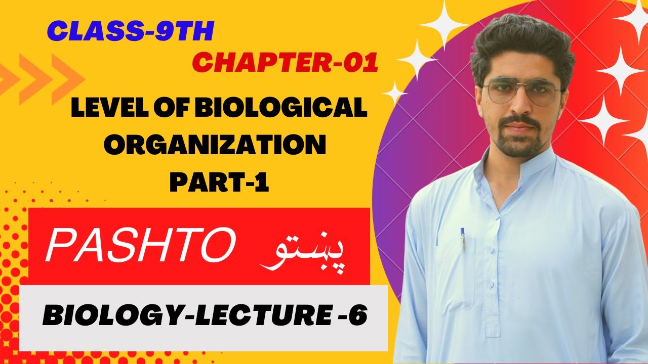 Level of Biological Organization | Part-1 | Biology Class 9th | CH#01 | Lecture-6 | Pashto - YouTube