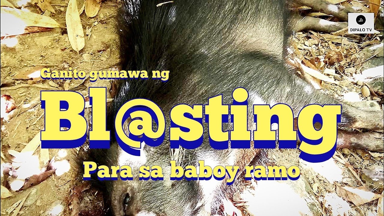 Ganito ang pagawa ng bl@$ting Pain para sa BABOY DAMO #baboyramo #trap ...