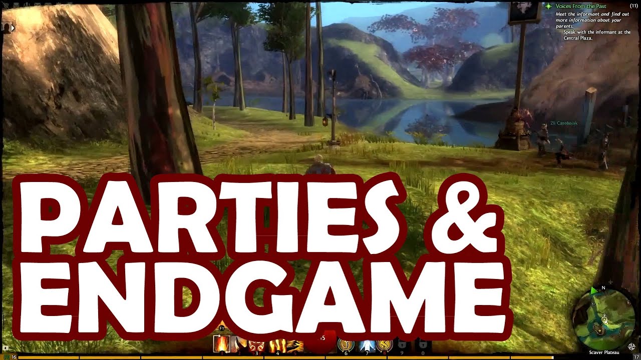 Guild Wars 2 - Party and Endgame - YouTube