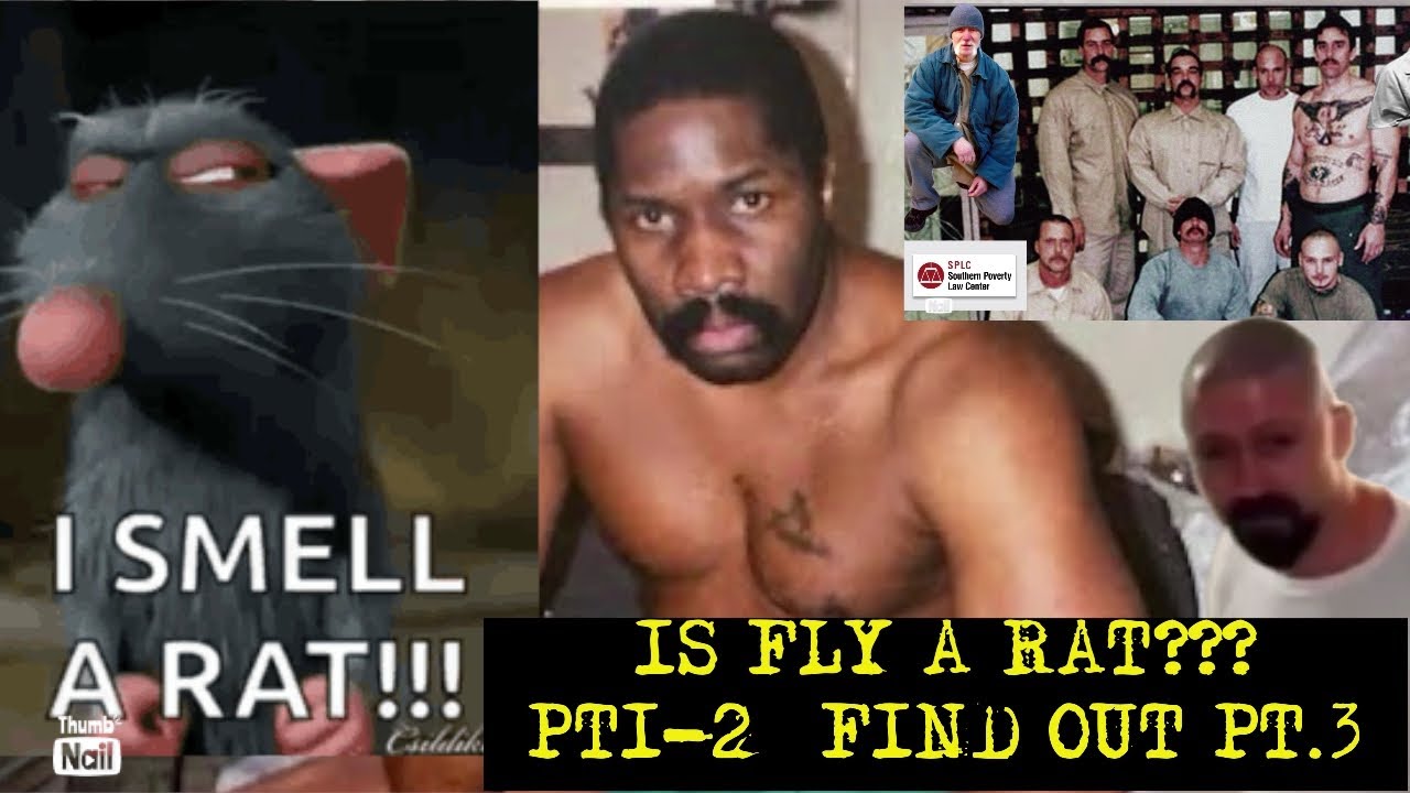 Pt. 1&2 ARYAN BROTHERS Big Mac N The ZIggy Downfall… PT.3 FLY A RAT ...