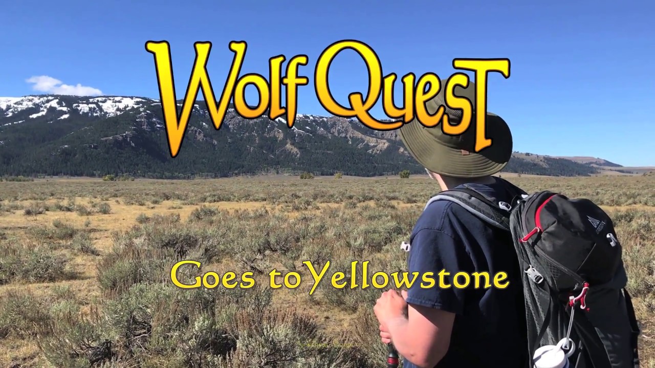 WolfQuest Goes to Yellowstone: Amethyst Mountain - YouTube