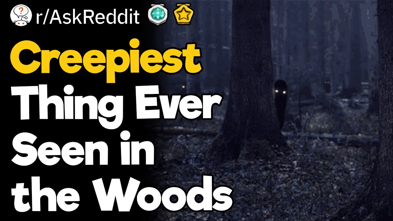 Creepiest Thing Ever Seen in the Woods - YouTube