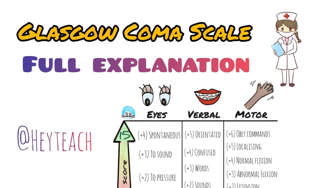 Glasgow Coma Scale #glasgow#coma#scale#nursing#medical#students#study# ...