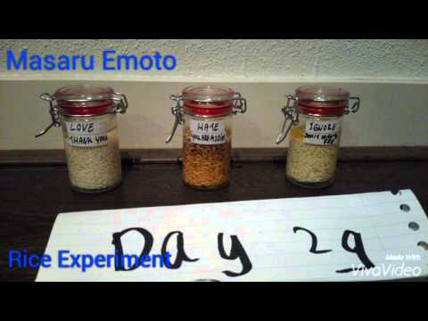 Masaru Emoto's Rice Experiment 2015 - YouTube