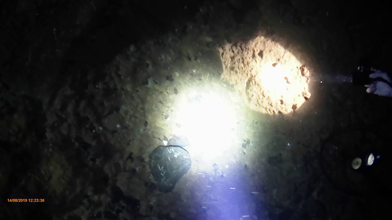 Immersione in Grotta delle Cipree, archeologia subacquea, Ustica scuba ...