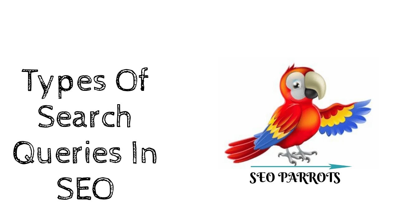 Types Of Search Queries/Keywords Used In SEO at SEO Parrots - YouTube