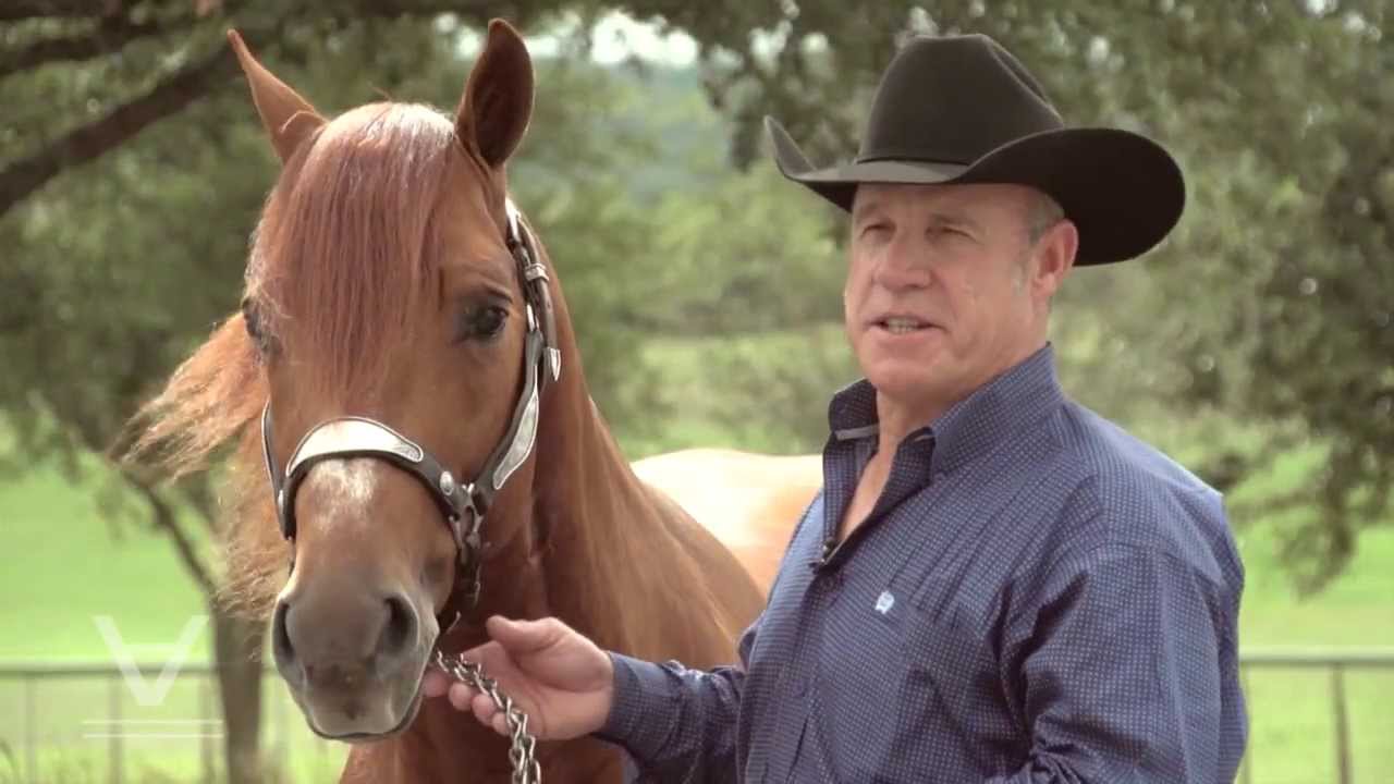 Lonnie & Barbara Allsup - YouTube