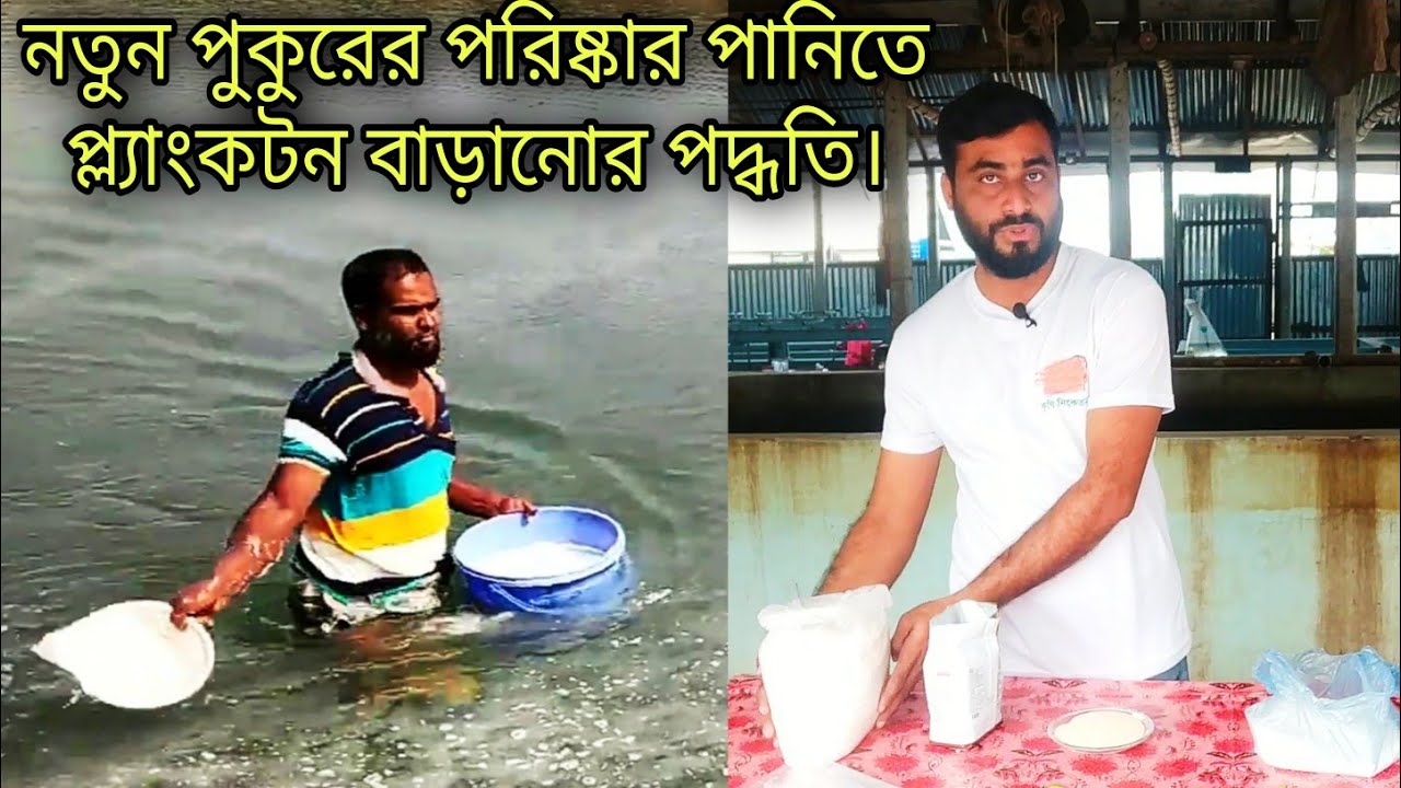 Creating Plankton With Sugar, Flour & Yeast | আটা,চিনি, ইস্ট দিয়ে ...