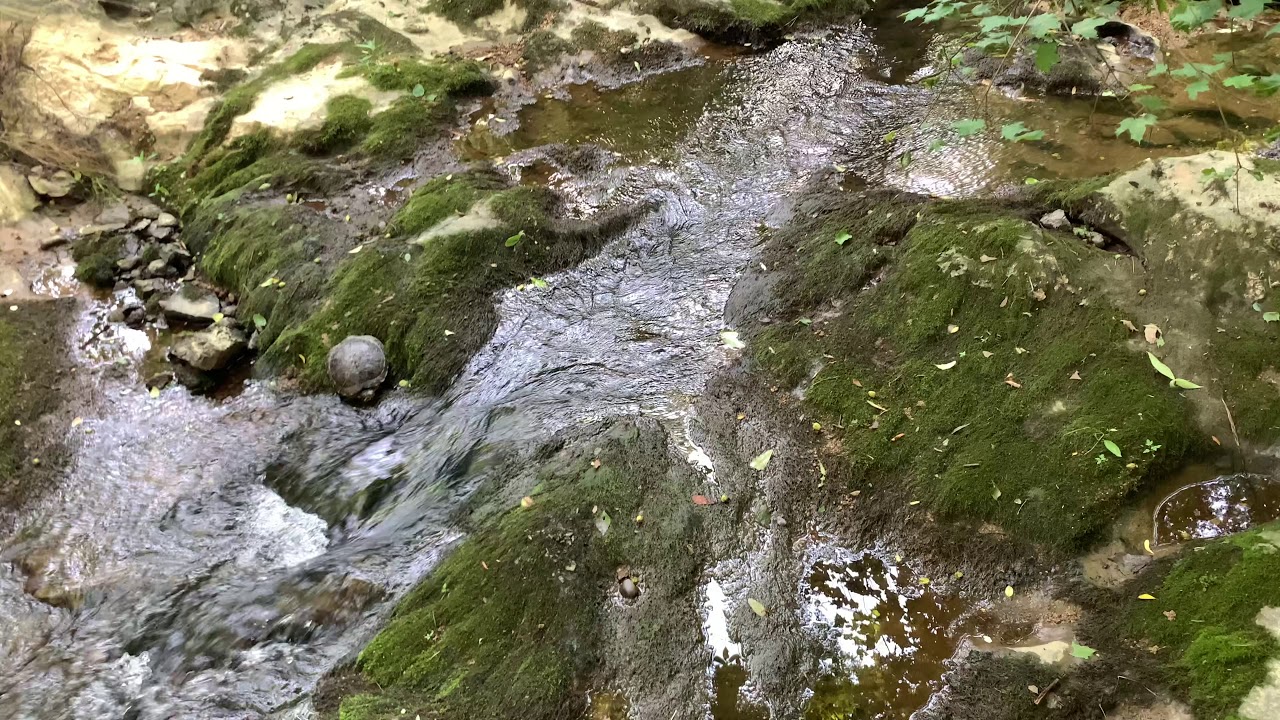 Small stream in North Georgia! - YouTube