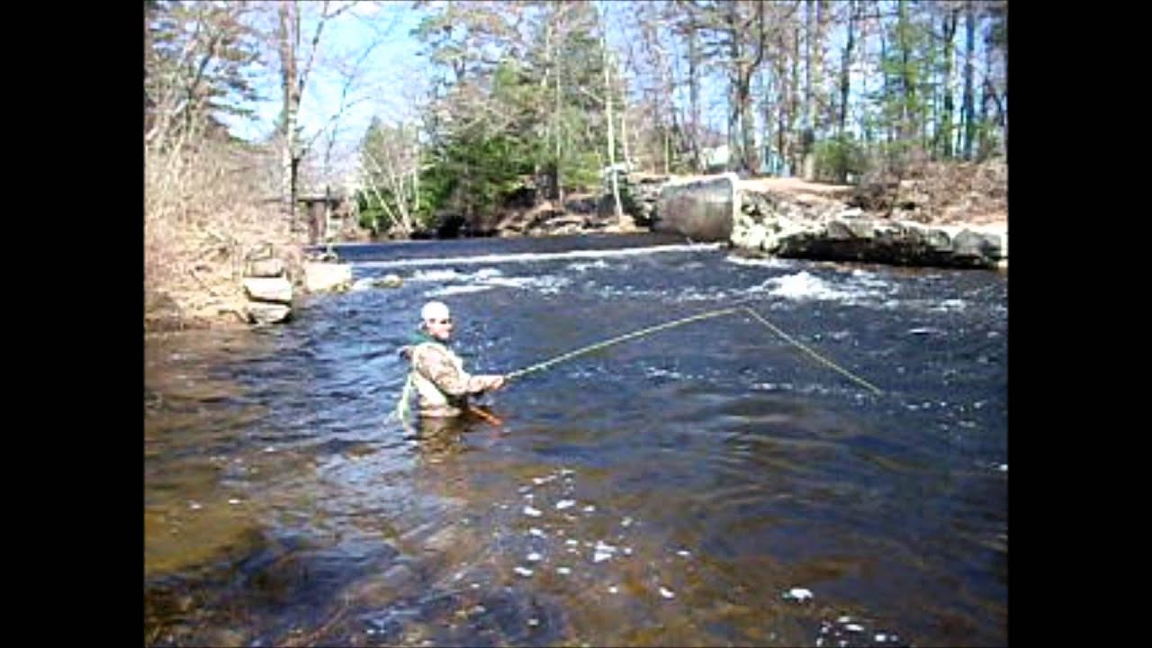 Fly Fishing Spring Training - YouTube