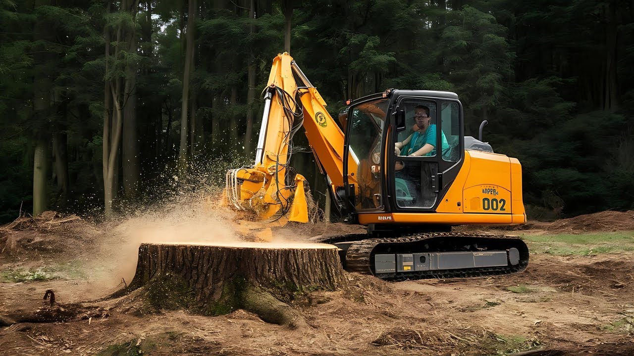 Incredible Tree Cutting and Stump Removal Machines: Satisfying and ...