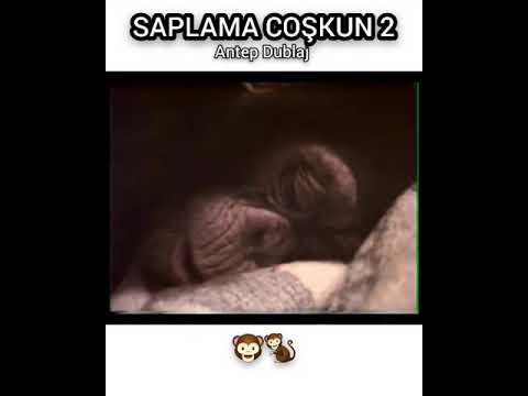 ÇOCUKLAR VS SAPLAMA COŞKUN 2 (Antep Dublaj)