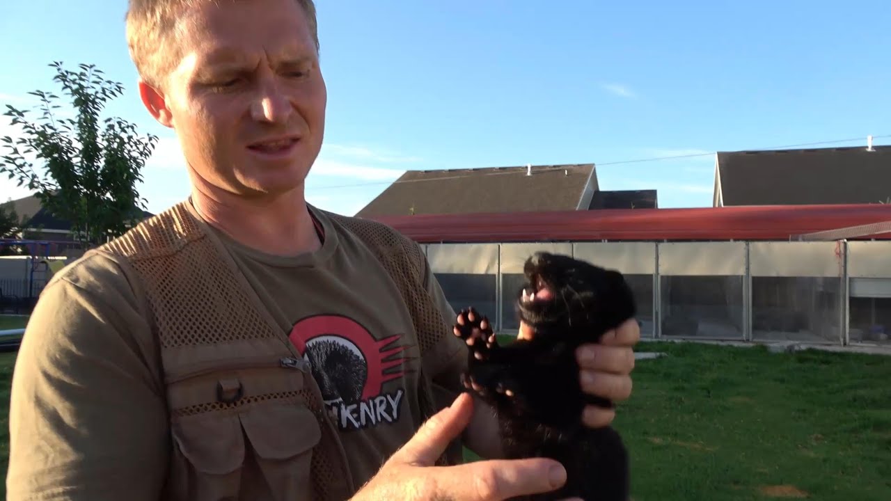 Caching Training Part 3 For Rascal - YouTube