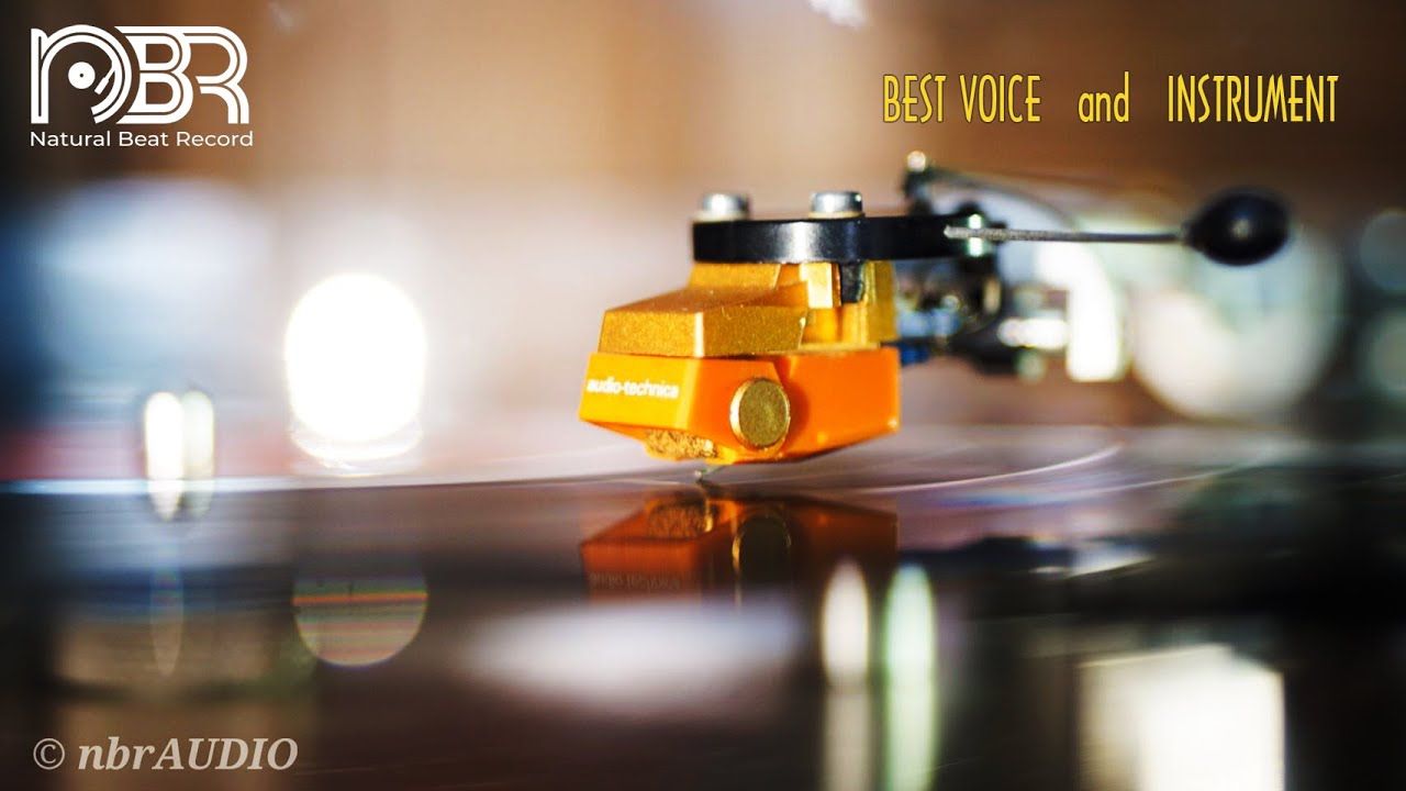 Best Voice and Instrument - High End Audiophile Music [ HQ Music ...