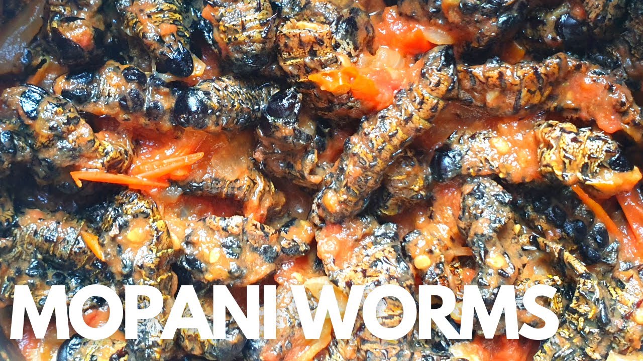 How To Cook Mopani Worms / Masonje Recipe | South African Youtuber ...