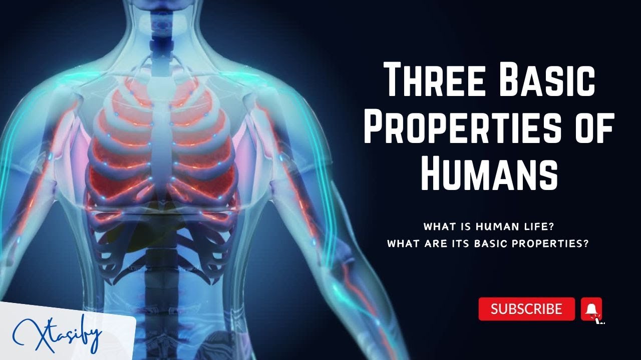 Three Basic Properties of Humans | Xtasify - YouTube