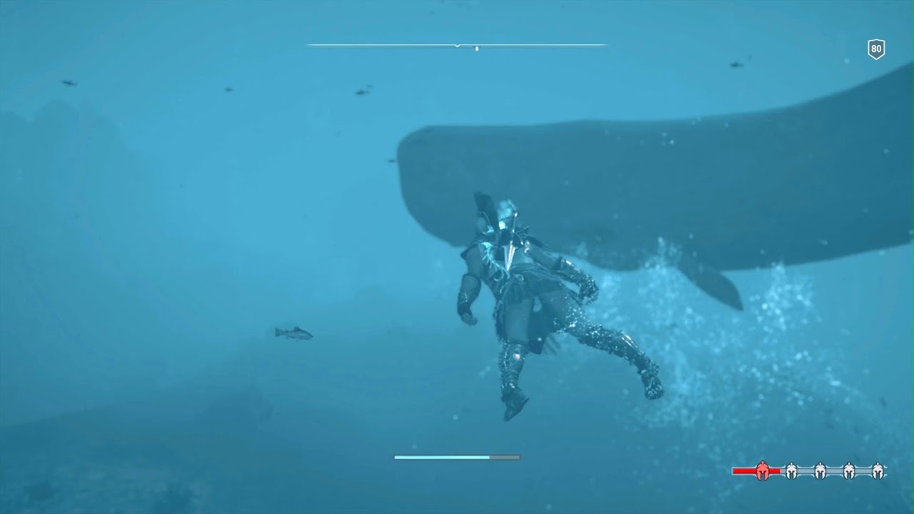 Spartan mercenary swimming with a whale | Assassin's Creed Odyssey ...