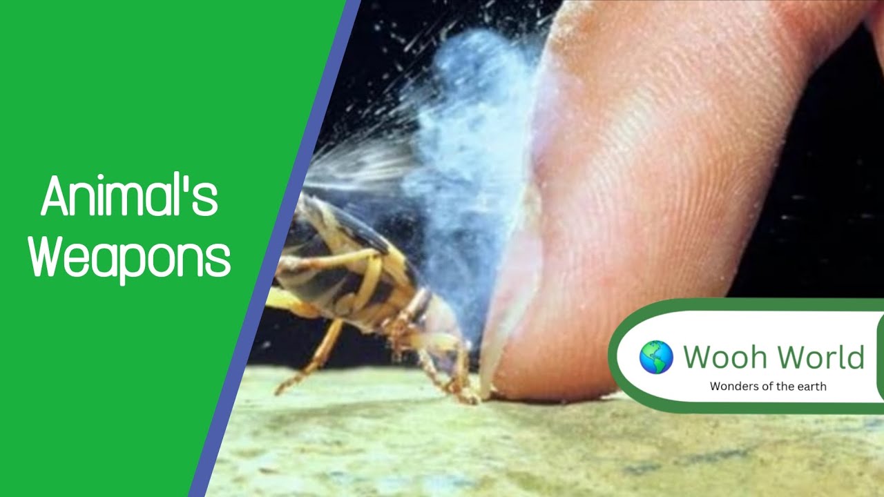 Nature's Defense: Animals With Built-in Weapons! | #facts # ...
