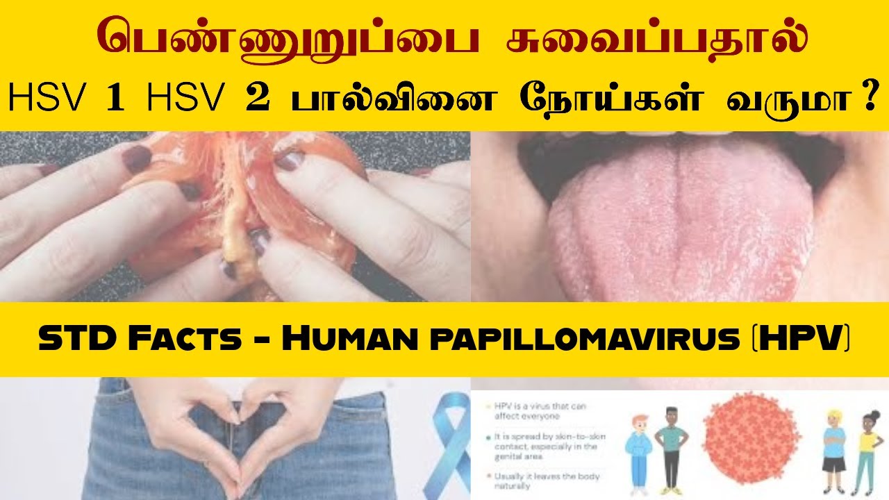 பெண்ணுறுப்பை சுவைப்பதால் HSV 1, HSV 2 பால்வினை நோய்கள் வருமா? STD Facts ...