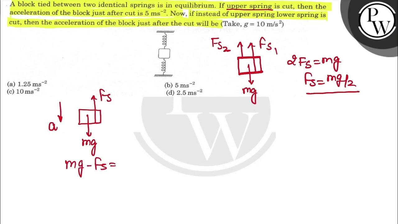 A block tied between two identical springs is in equilibrium. If upper spring is cut, then the a ...