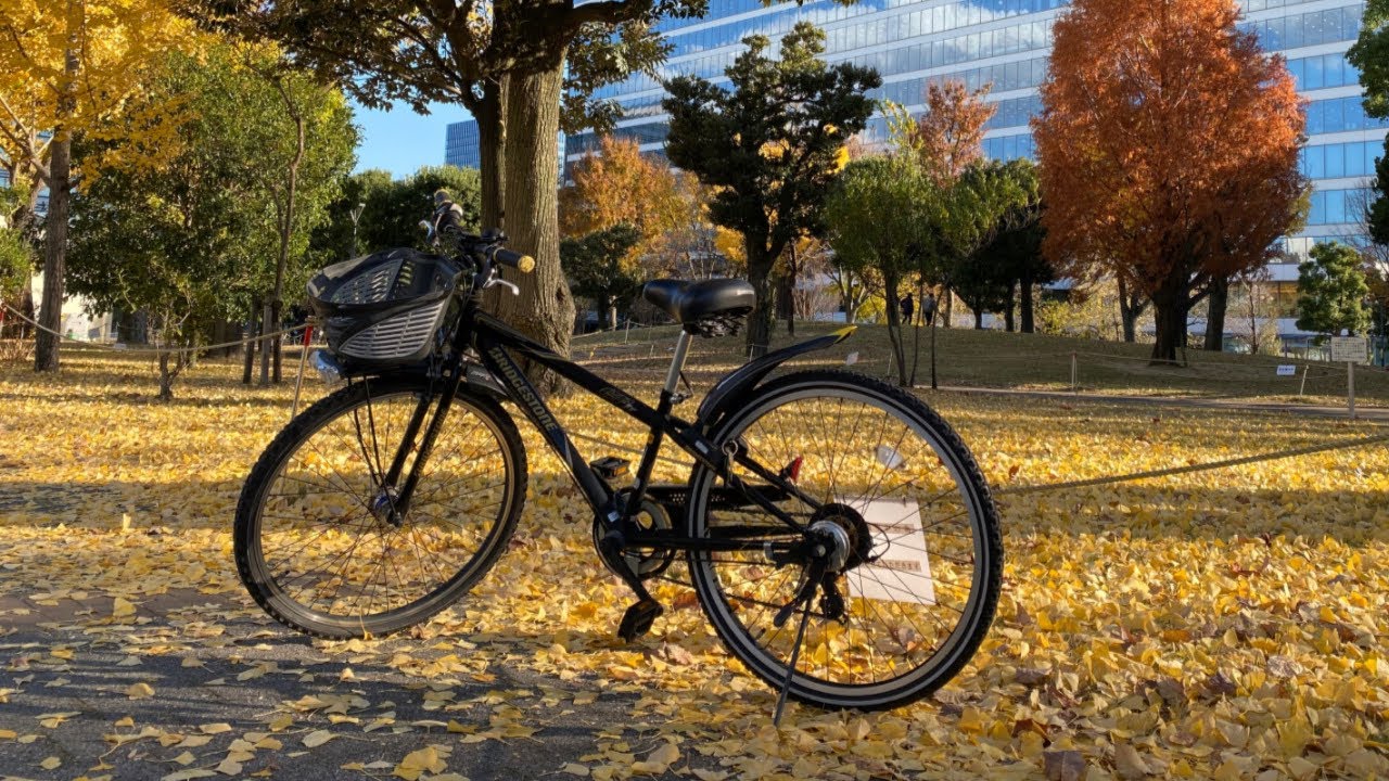 Ogikubo to Nakano | Tokyo Autumn Bike Ride | Japan 4K - YouTube