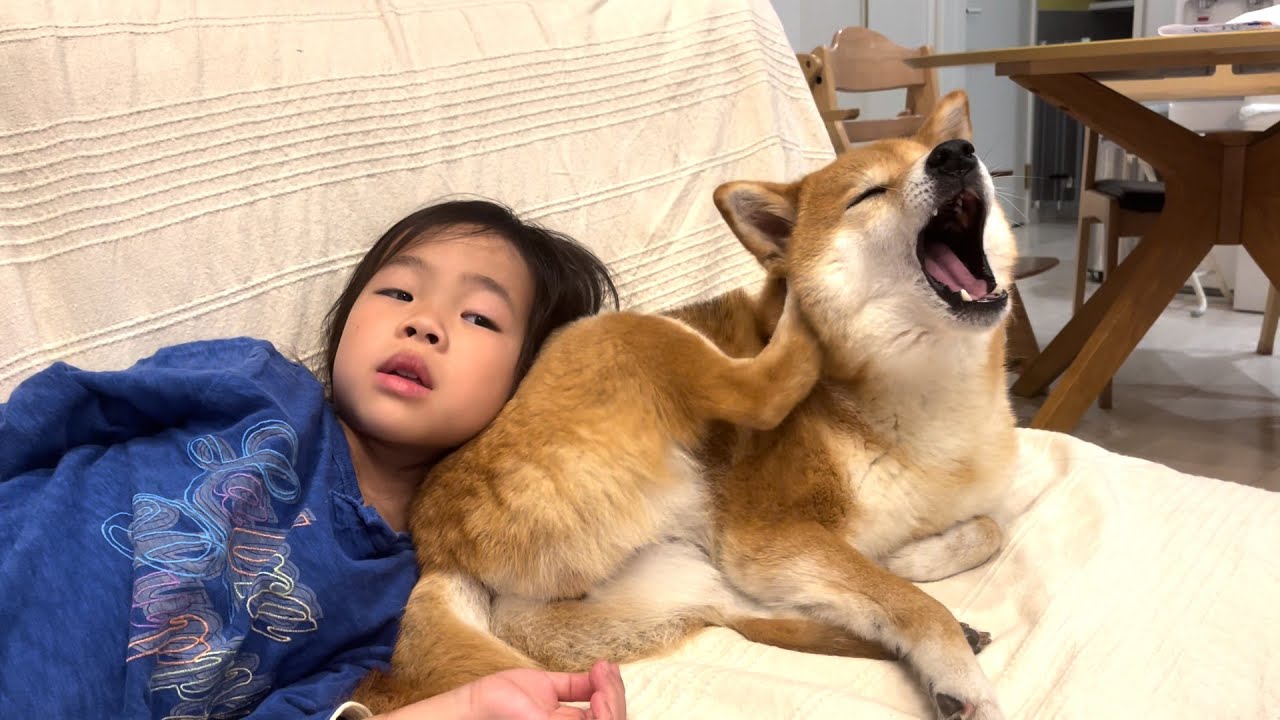 動画 | usako5000のブログ