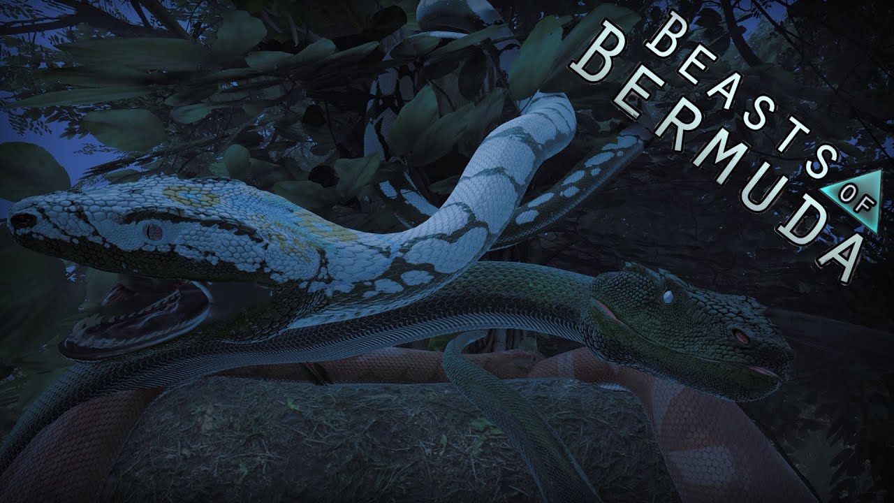 Life of a Semi Aquatic palaeophis"Giant Snake" (Beasts of Bermuda ...