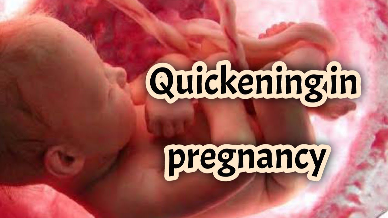 QUICKENING IN PREGNANCY @lovemedics - YouTube
