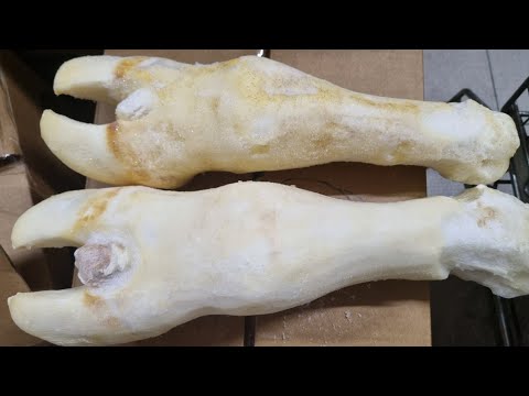 CUTTING BEEF FOOT #BEEF #ASMR #VIRAL #SHORT - YouTube