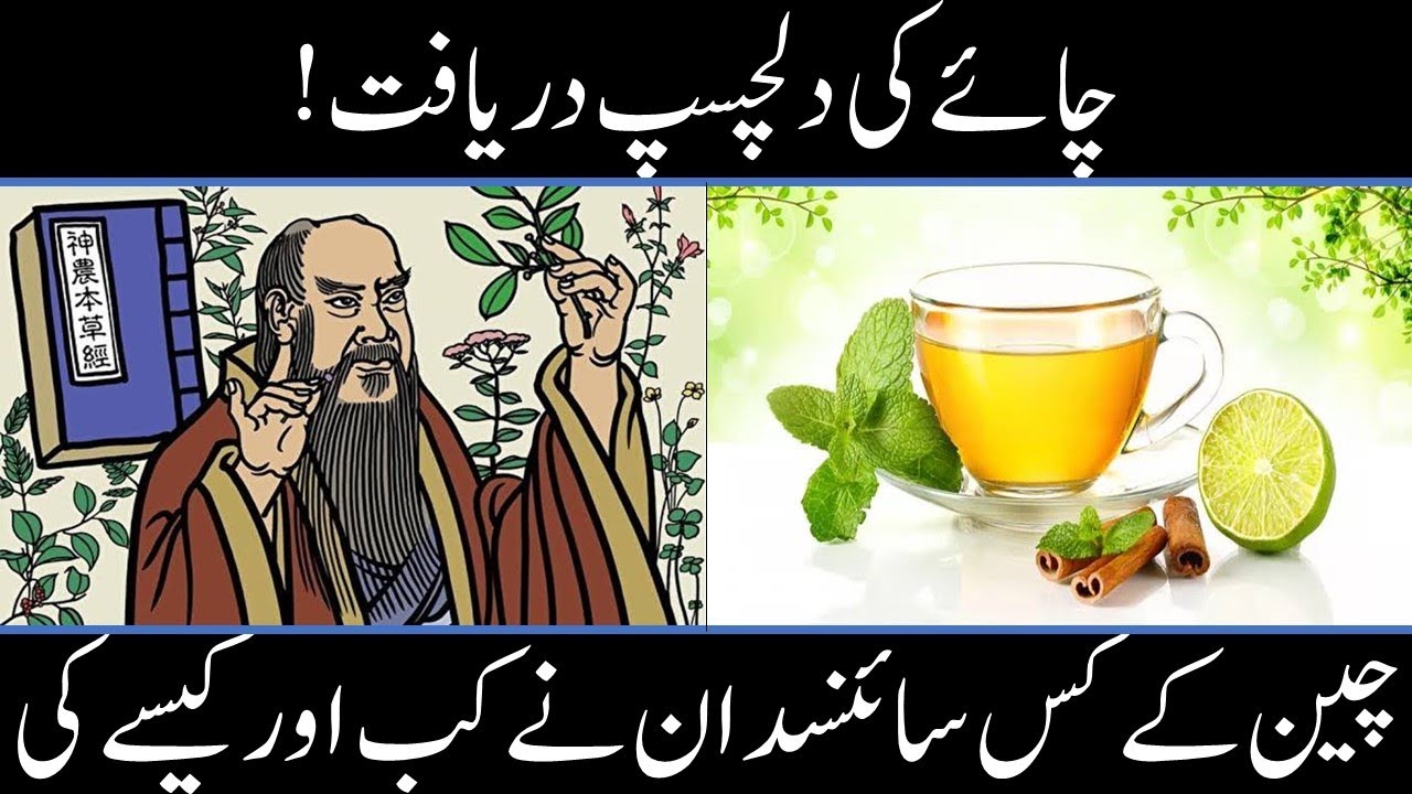 Invention Of Tea || Shen Nung Chinese Scientist || Divine Farmer Of ...