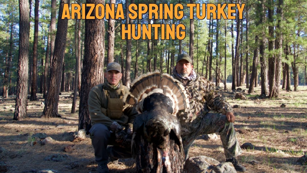 Arizona Spring Merriam's Turkey Hunt 2024/Caceria De Guajolote En ...