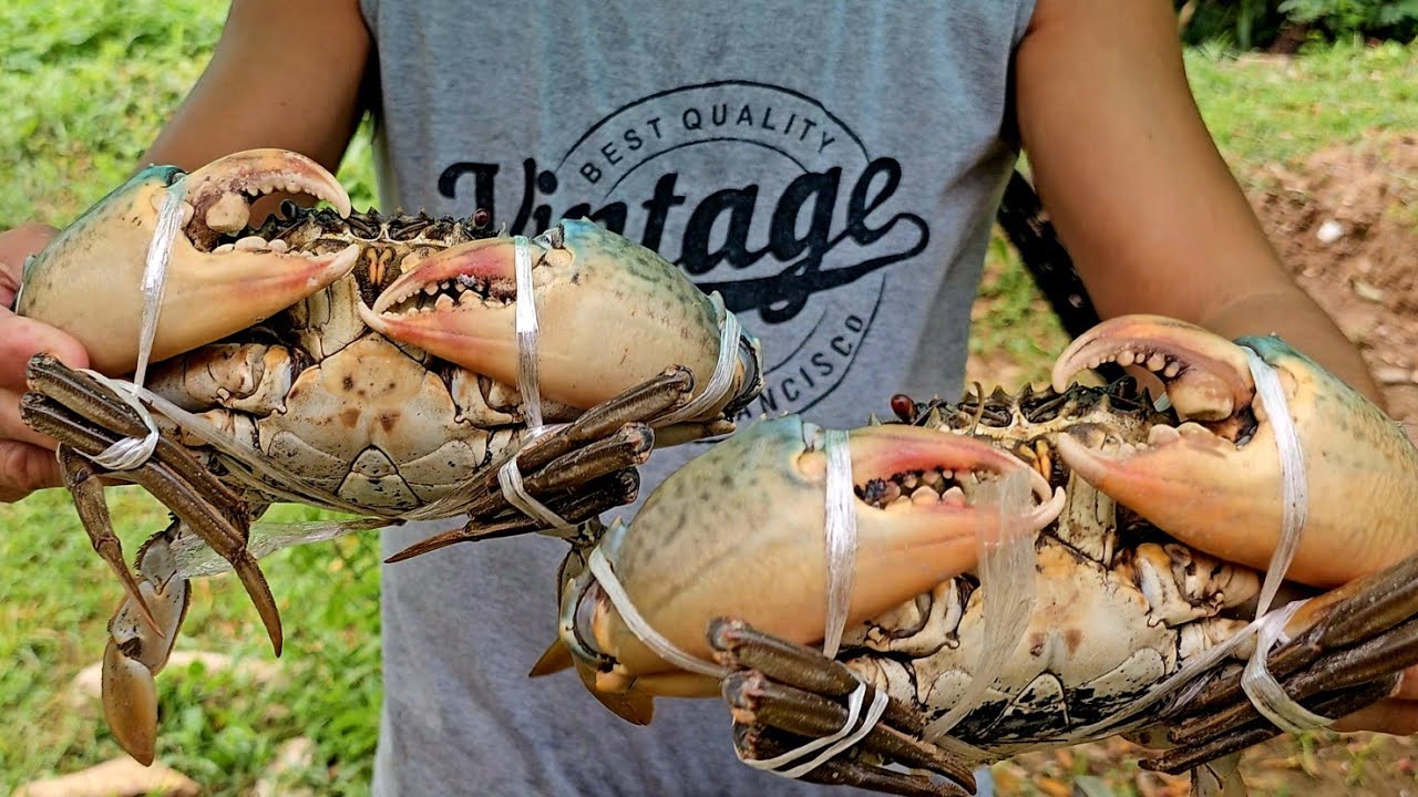 GINATAANG ALIMANGO at KALABASA | PAGKAING BUKID | OUTDOOR COOKING |Team ...