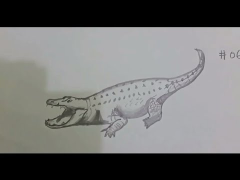 drawing crocodile ( how to draw crocodile ) animal serie - YouTube