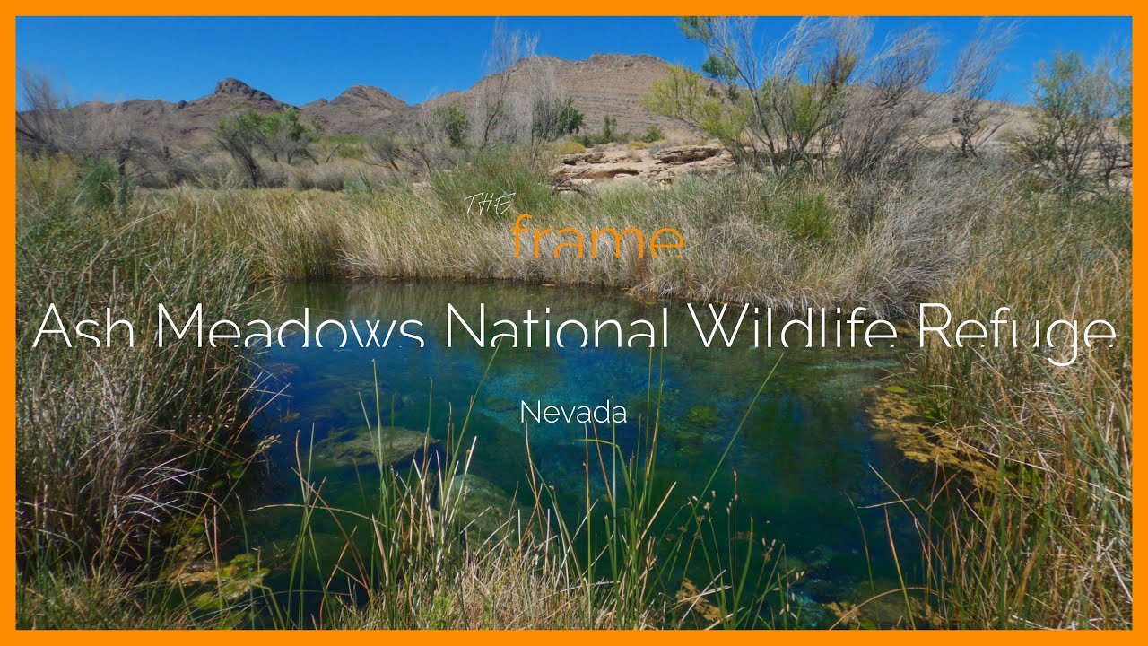 Ash Meadows National Wildlife Refuge, Nevada | The Frame - YouTube