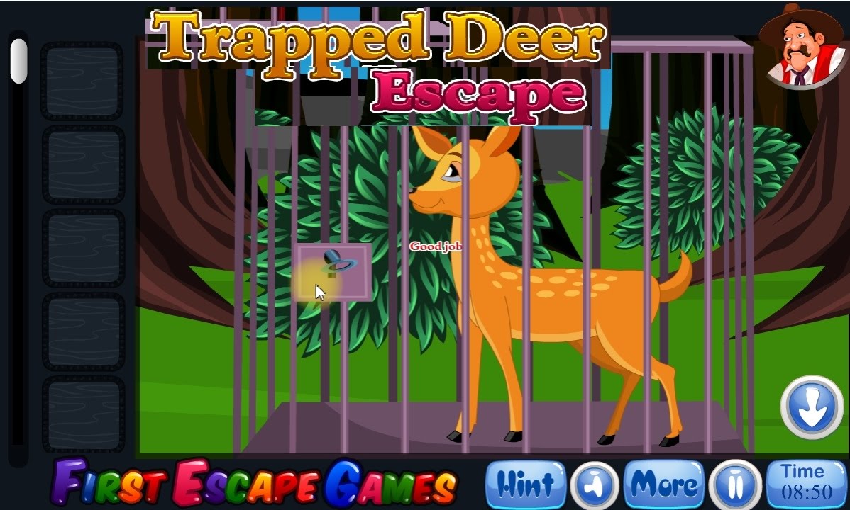 Trapped Deer Escape - FEG... - YouTube