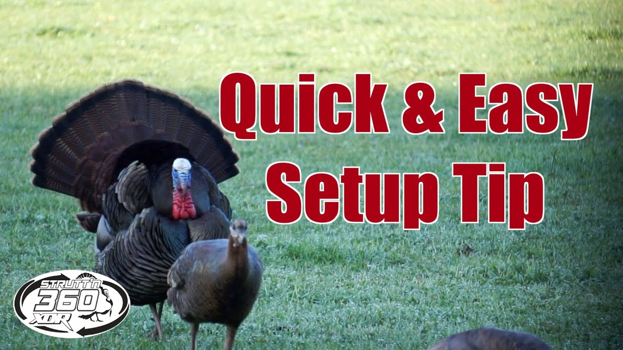 How to Setup Turkey Decoys | Tips to Maximize Visibility and Add Motion ...