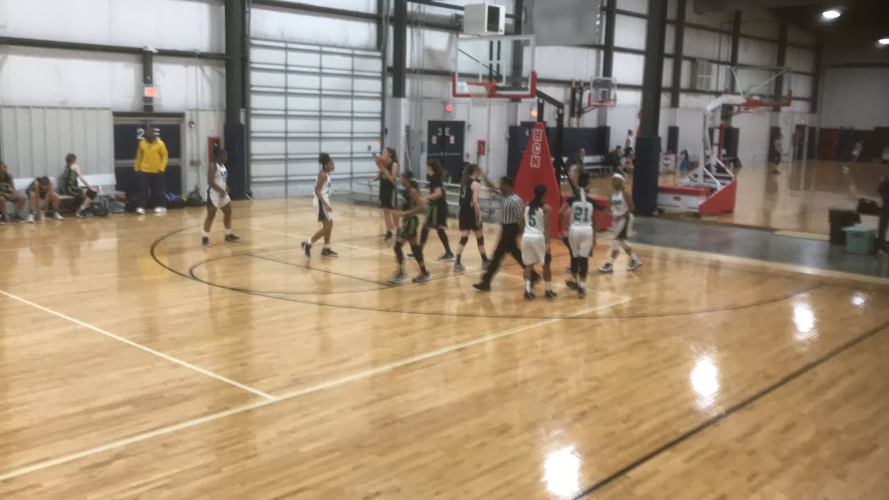 Highlights 2019 - YouTube