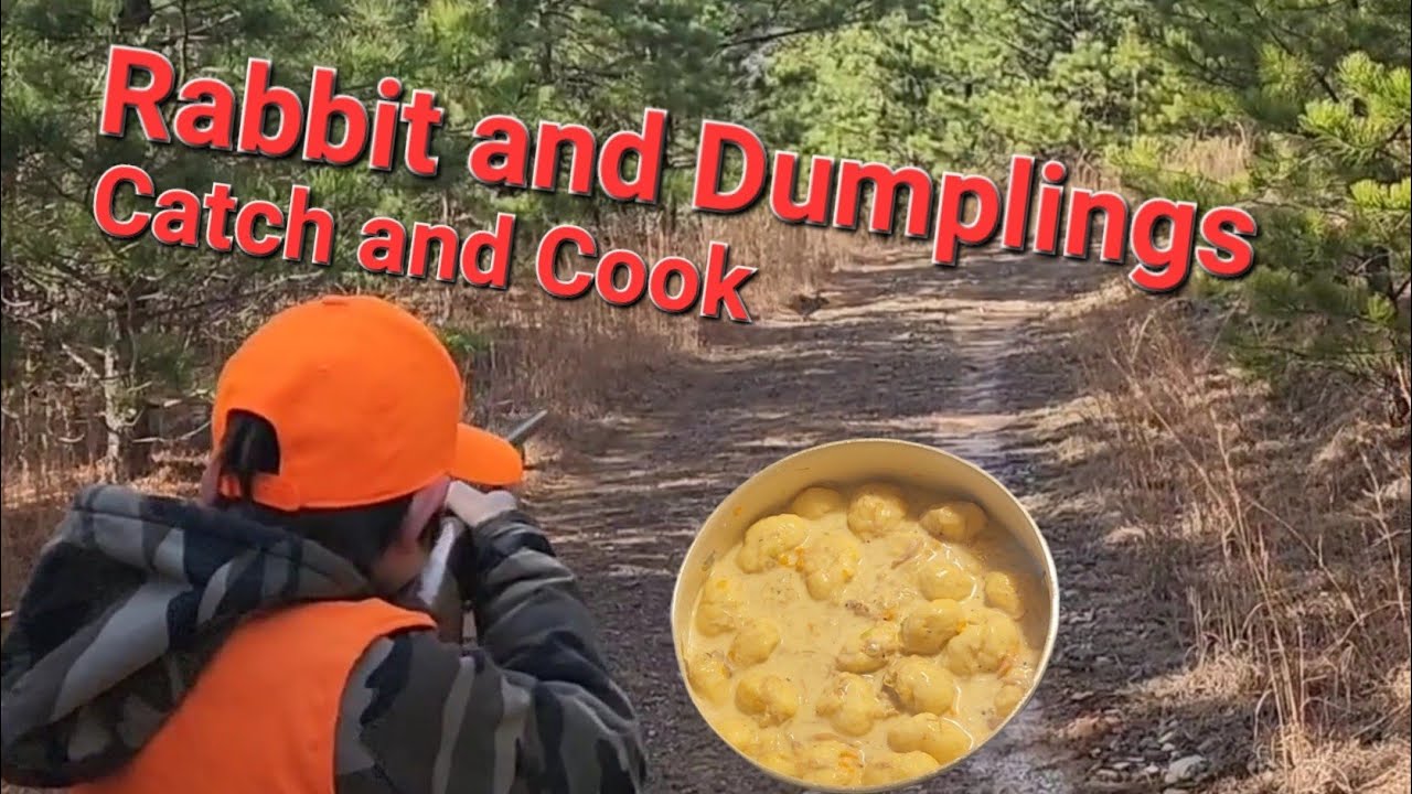 Rabbit Hunting South West Virginia Comp. 2023 - YouTube