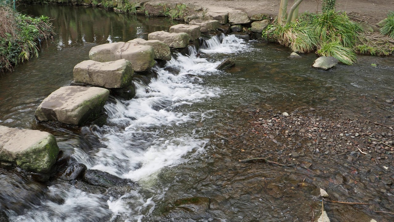 Olympus OM-D E-M1 Mark III - CINE-4K Video, 24fps, Handheld, River in Sheffield